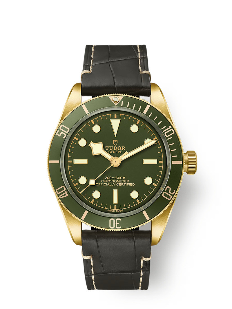 The Top 12 Most Popular Tudor Watches For Men At Every Price Point